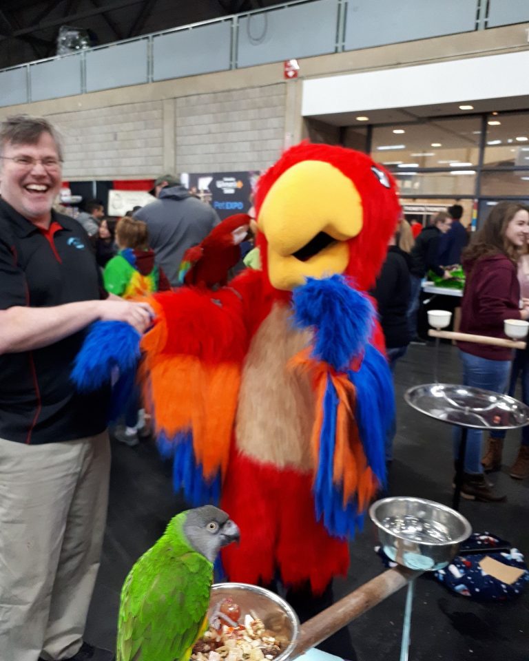 Mascot Performer Safety | Custommascot.com